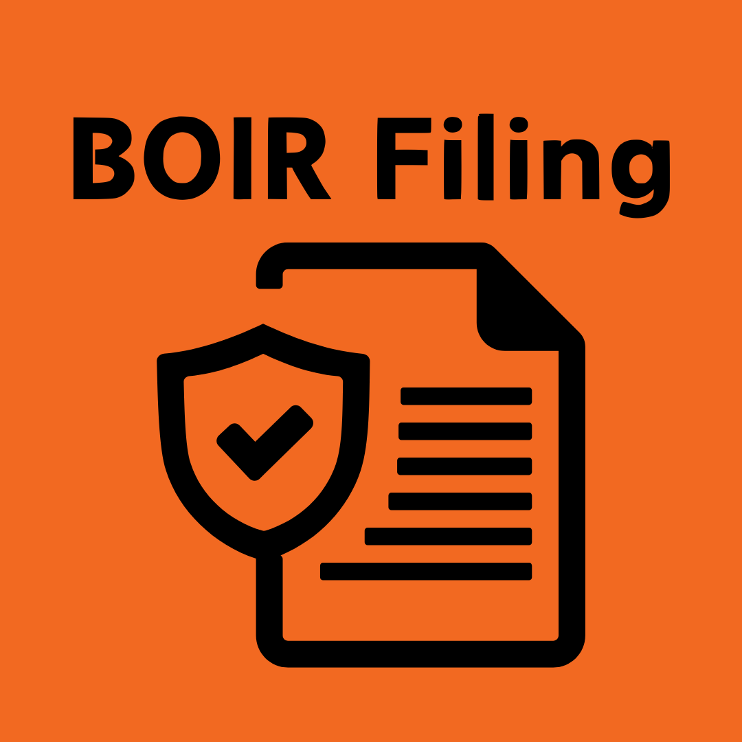 BOIR Filing - legaleazes.com